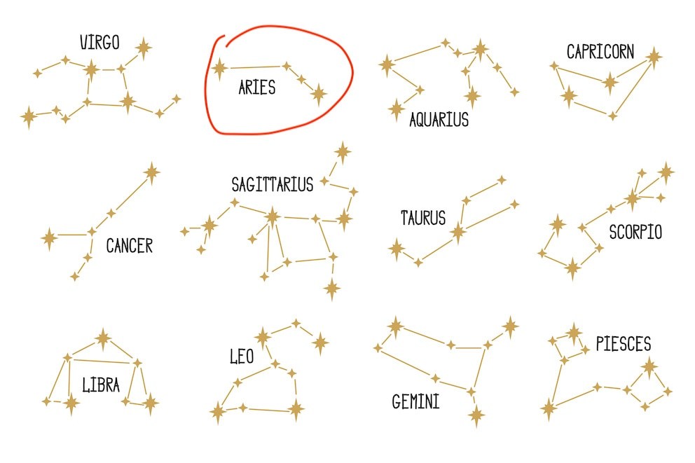 Aries Spirit Animal: Exploring the Fiery Essence of the Ram