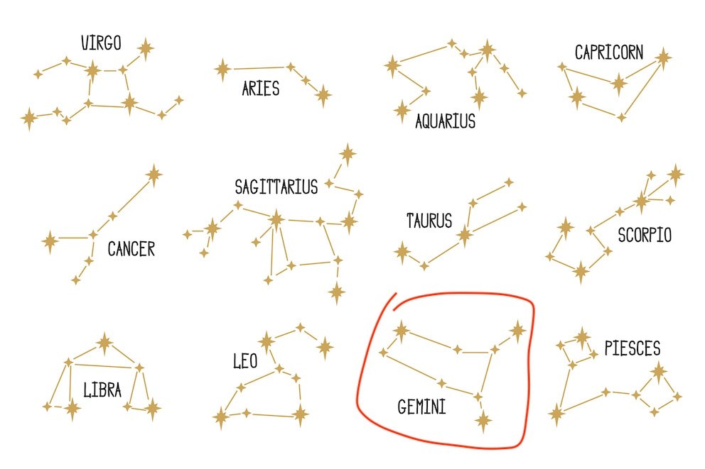 Gemini Spirit Animal: The Playful Twins of the Zodiac