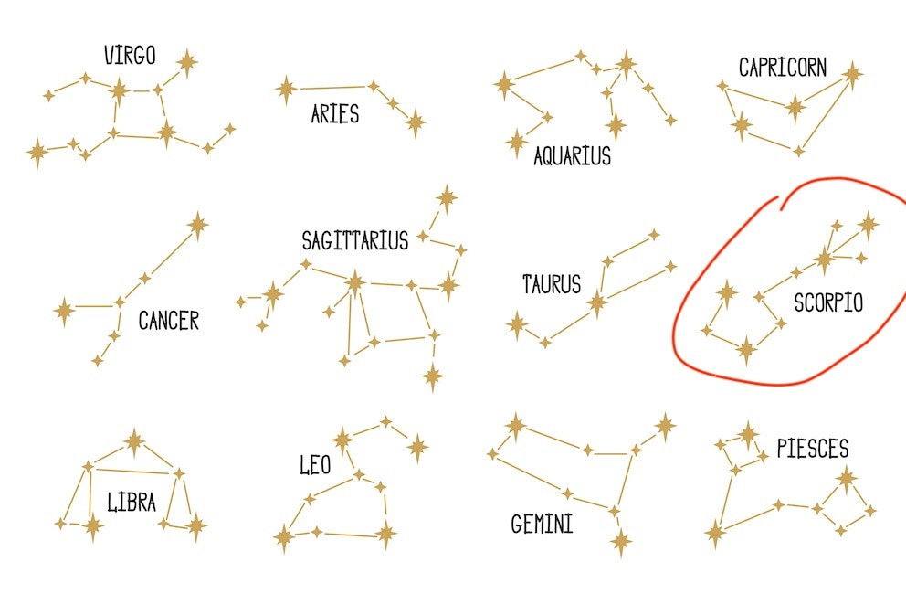 Scorpio Spirit Animal: Unleashing the Mystique of the Enigmatic Scorpion