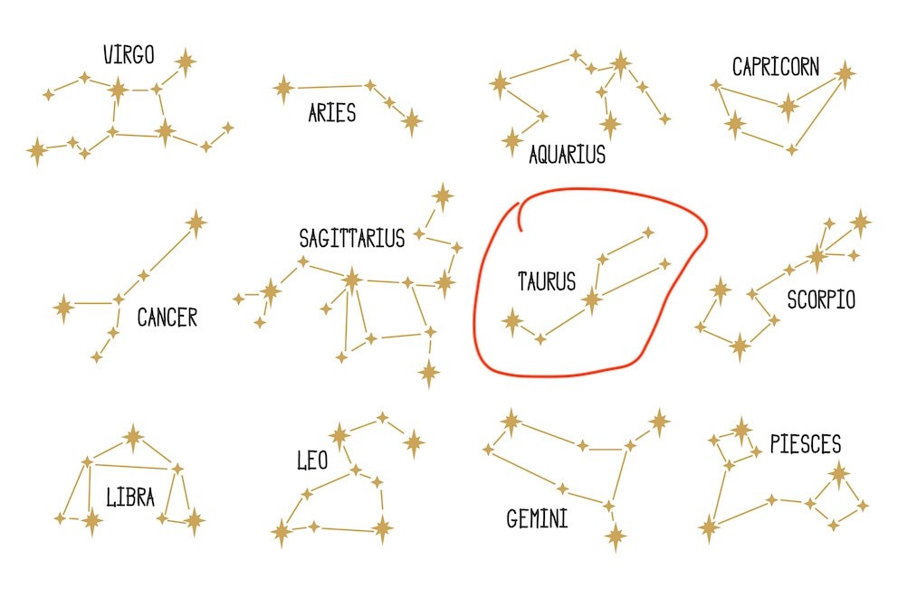 Taurus Spirit Animal: The Resilient Bull's Path to Abundance